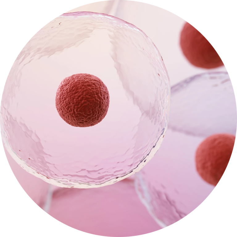 Egg Collection Procedure for IVF | ivfathenscenter.gr